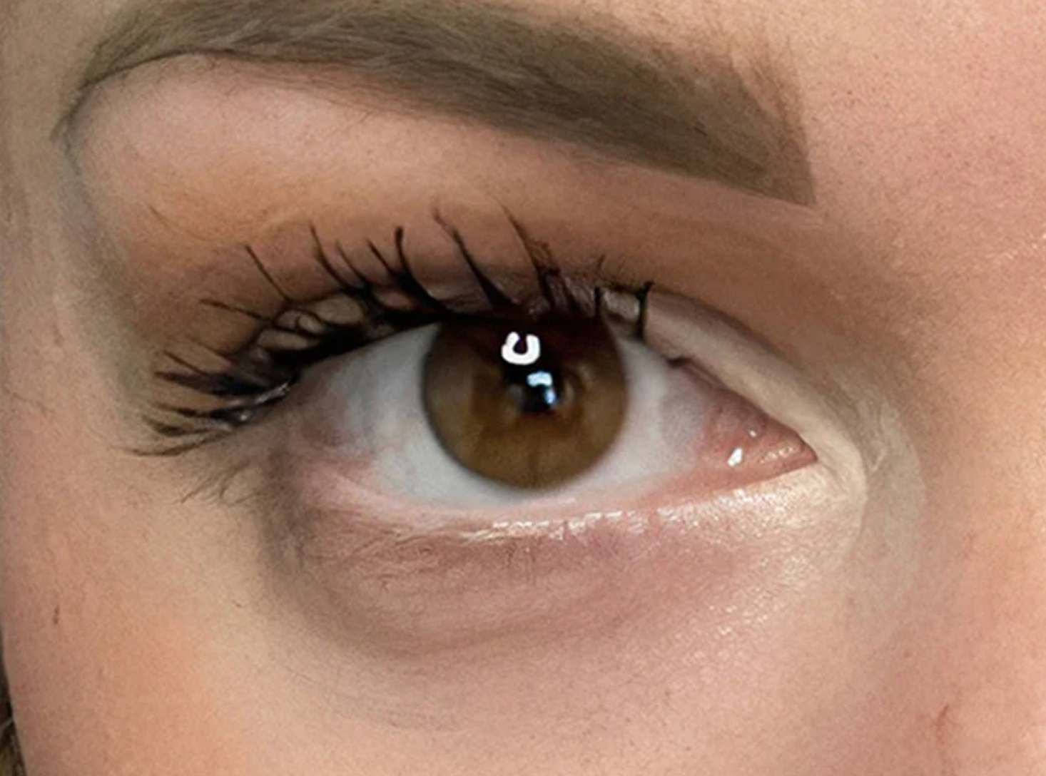 Bioaesthetics